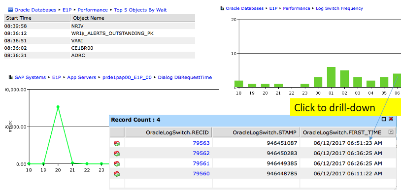 Advanced Sap Monitoring Features By It Conductor
